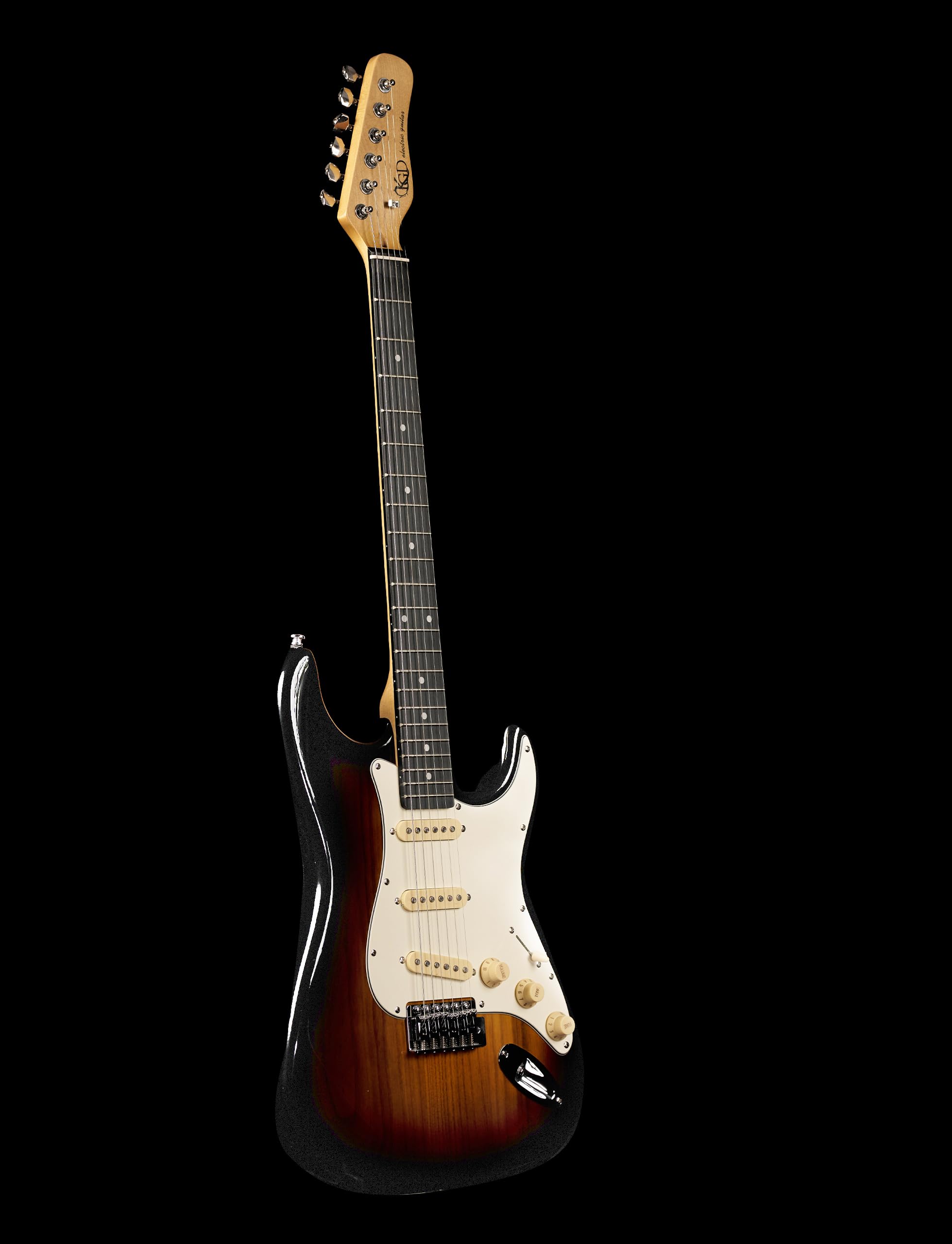 Snapklik.com : Electric Guitar, Sycamore Body, Carbonized Maple Neck ...