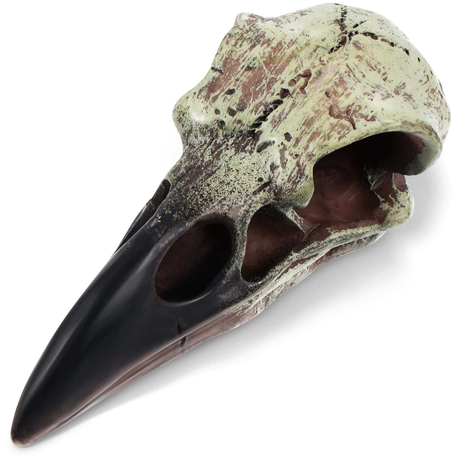 Amazon.com: Geetery Halloween Raven Skull Figurine Scavenger Gothic ...
