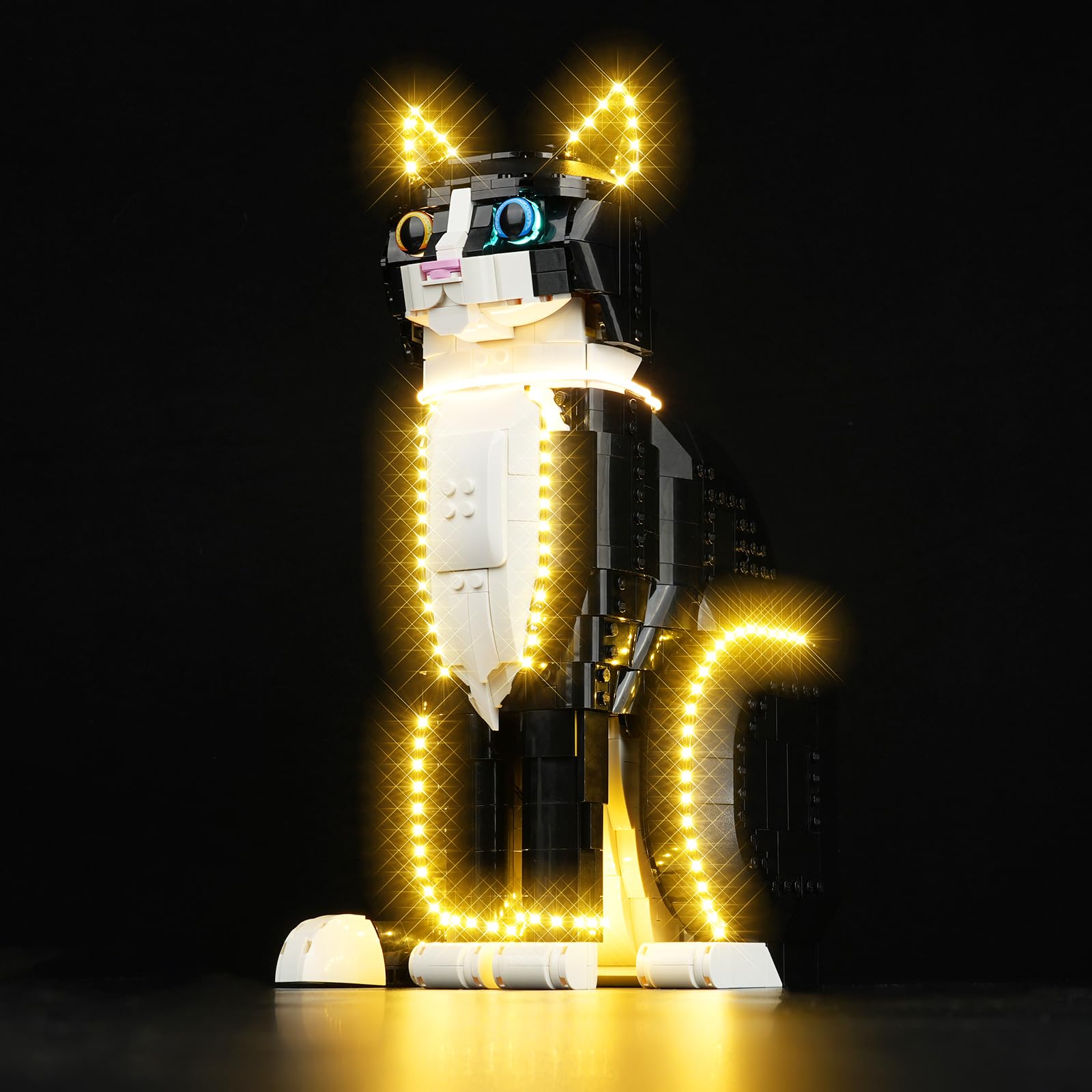 Amazon.com: LED Light Kit for Lego Tuxedo Cat 21349, Lighting Set ...