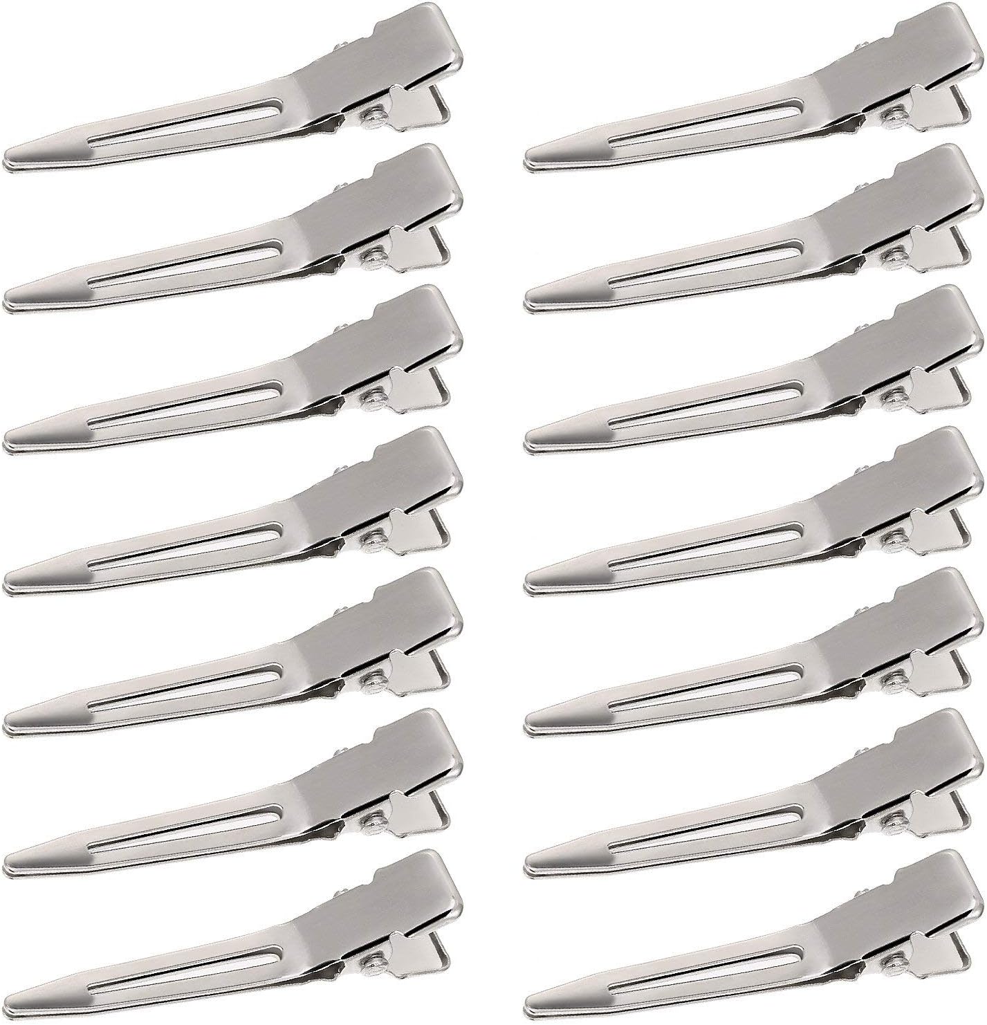 Amazon.com : Annie Single Prong Clips, 80 Count : Beauty & Personal Care