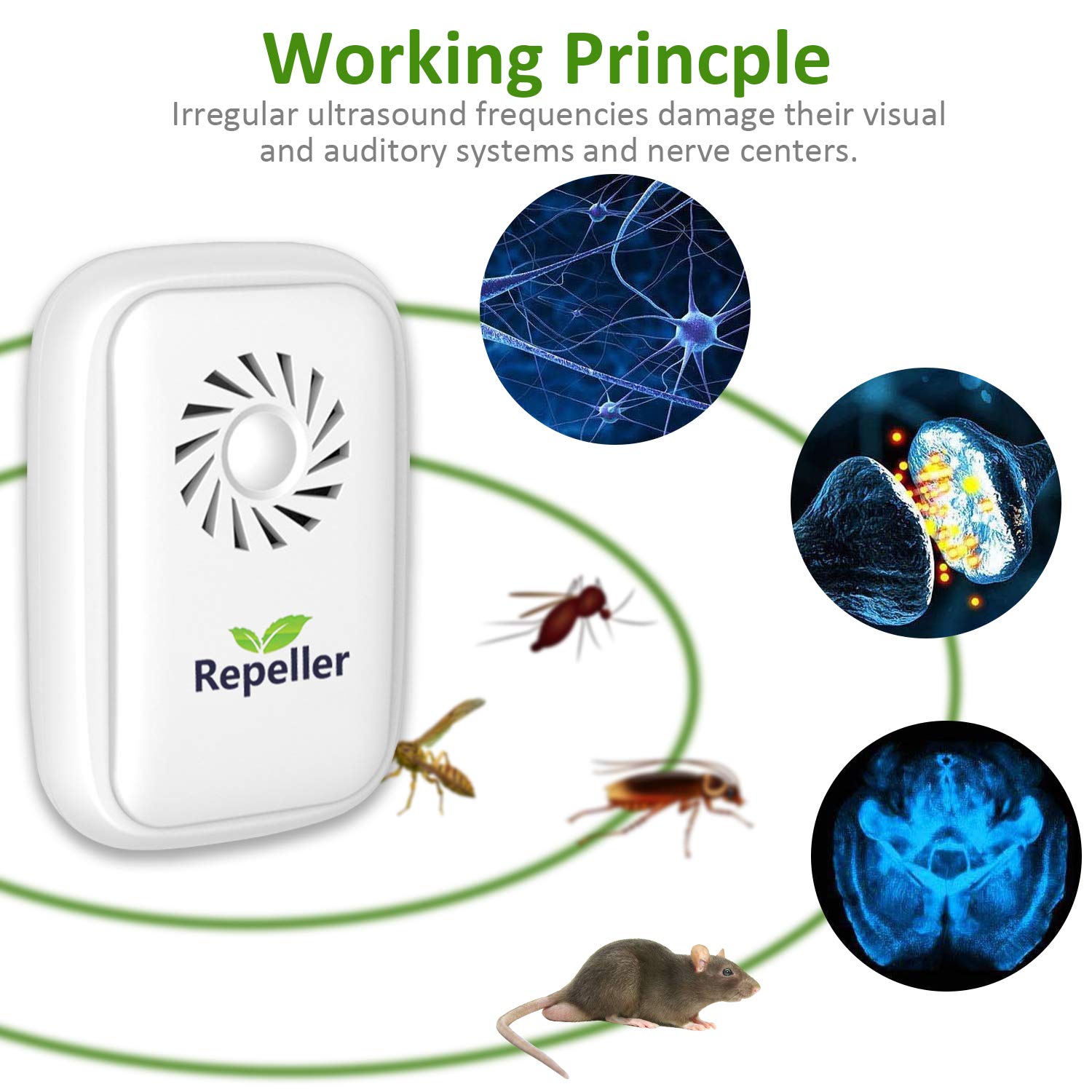 Electronic Ultrasonic Rodent Repeller Electronic Ultrasonic Pest