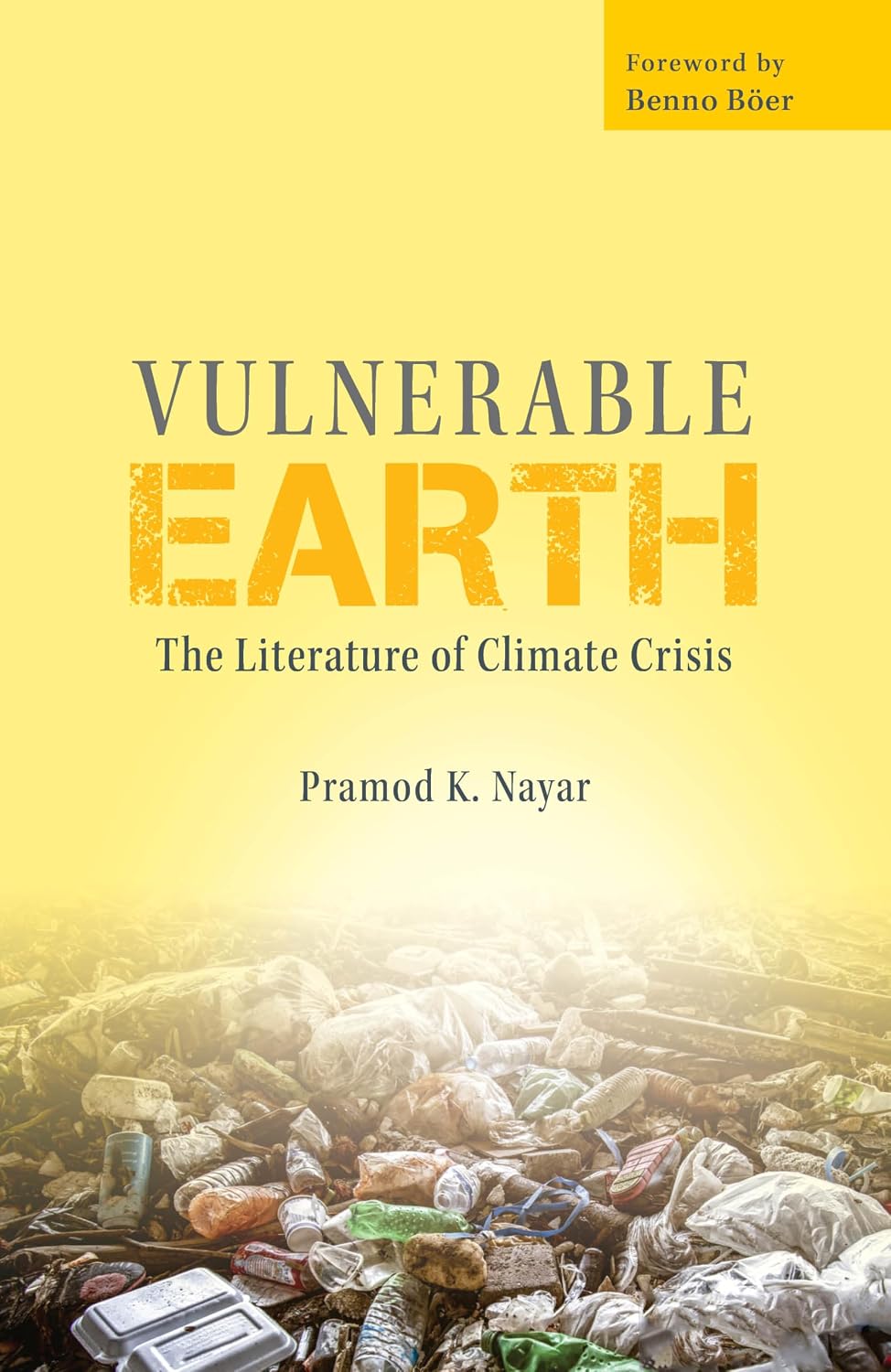 Amazon.com: Vulnerable Earth: The Literature of Climate Crisis ...