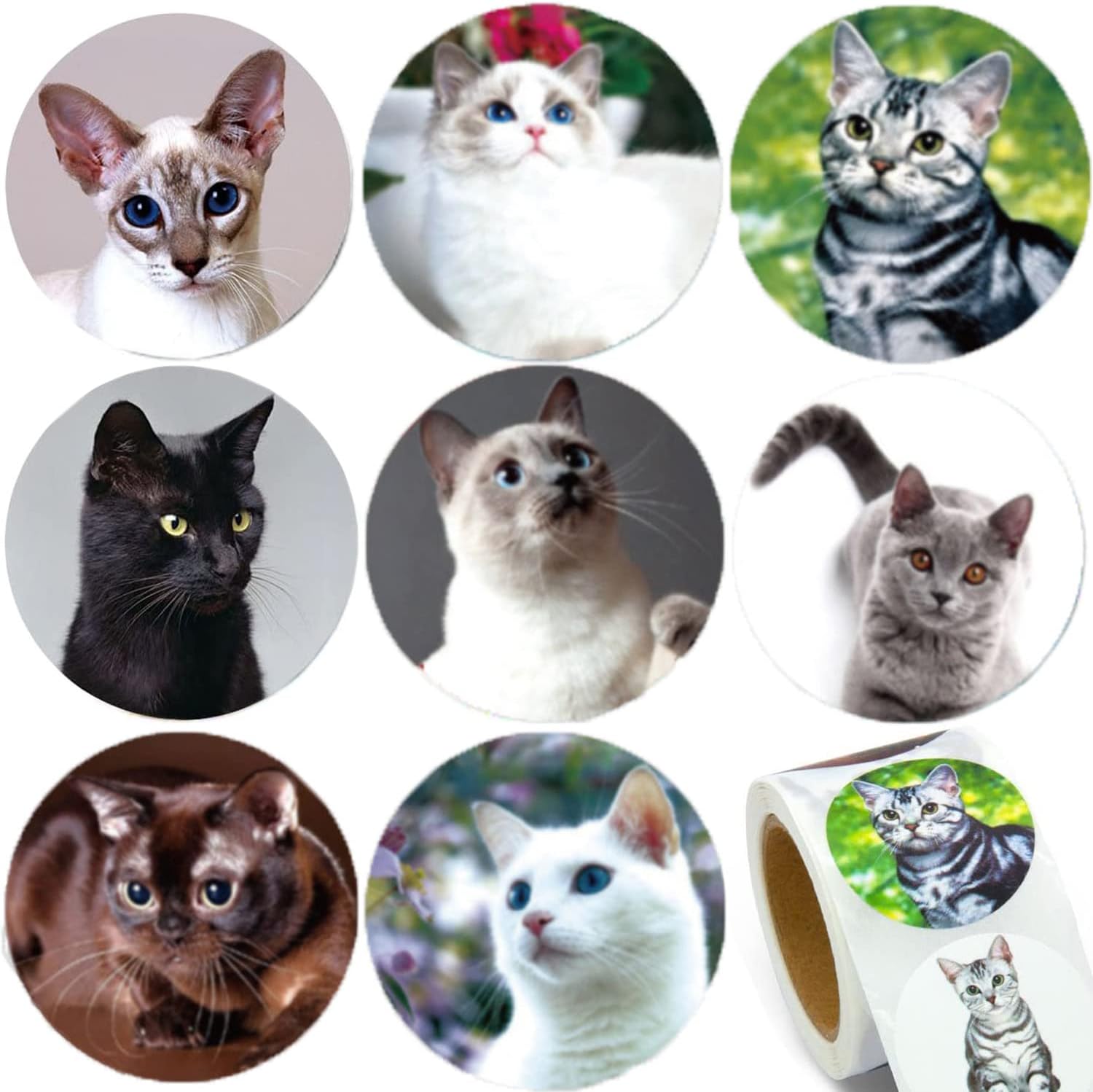 Amazon.com: Hohamn 1.5" Cat Stickers for Kids Teachers, 500 Pcs Cat ...