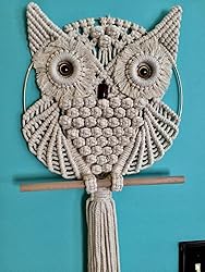 Amazon.com: Achart Owl Macrame Wall Hanging-Hand Woven Boho Tapestry ...