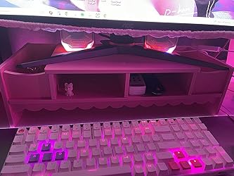 Amazon.com: Tofficu Creative Computer Monitor Shelf, Multifunctional ...
