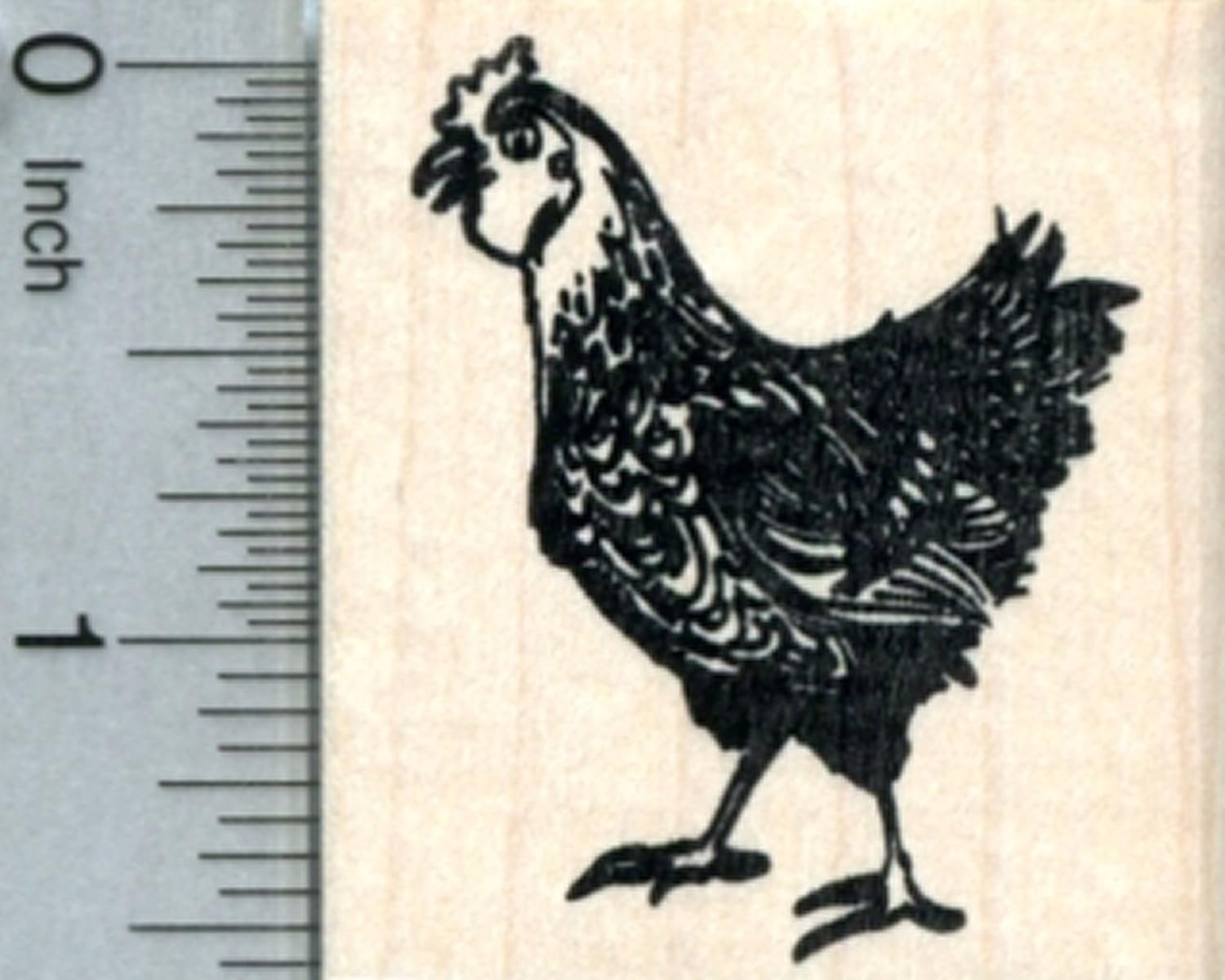 Amazon.com: Chicken Rubber Stamp : Arts, Crafts & Sewing