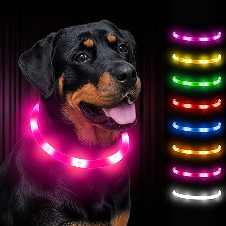 Amazon.com : YUSHANG Side Release Buckle Glow Dog Collar,USB ...