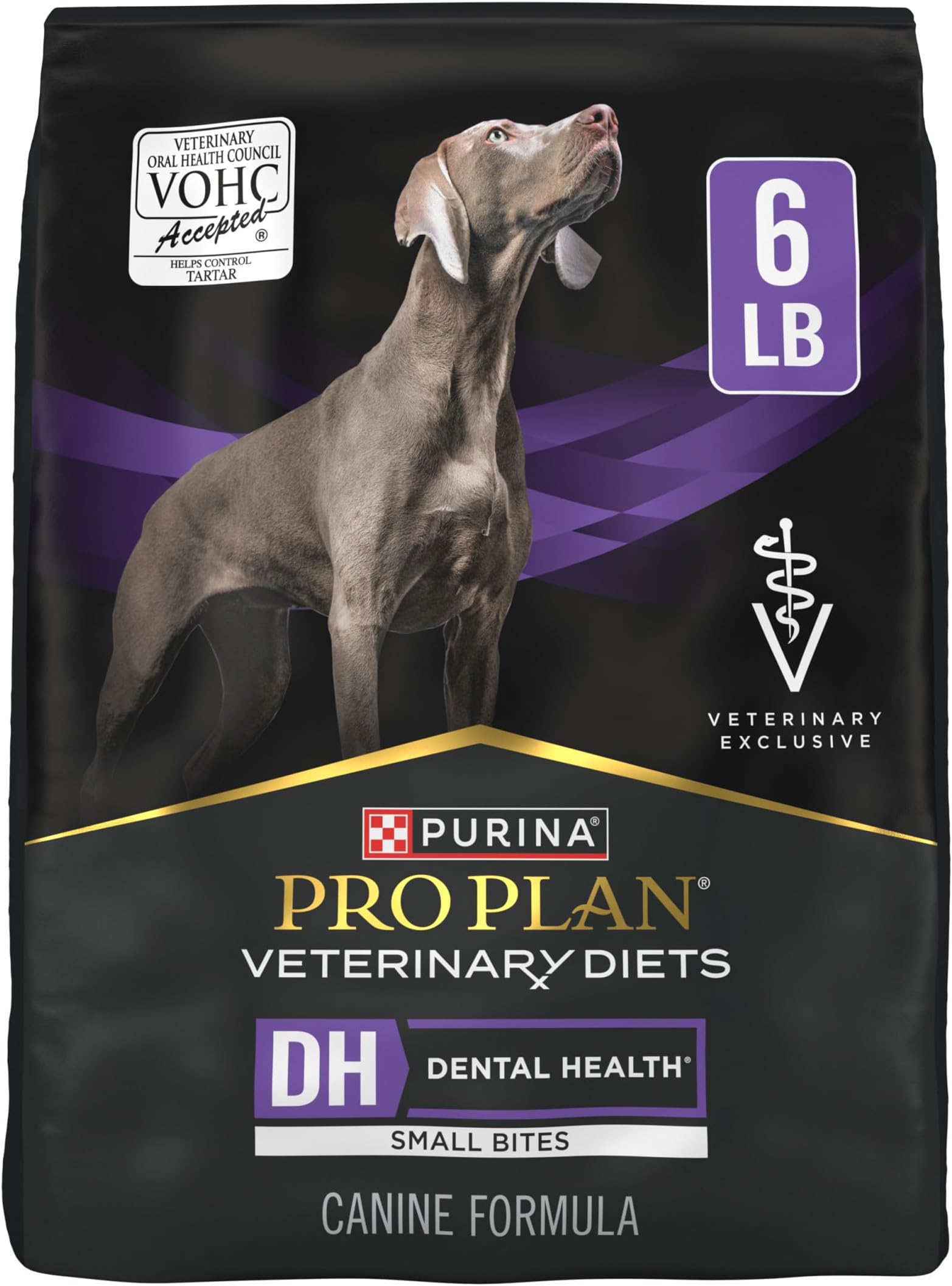 Amazon.com: ROYAL CANIN Canine Dental Dry - Small Dog (8.8 lb)
