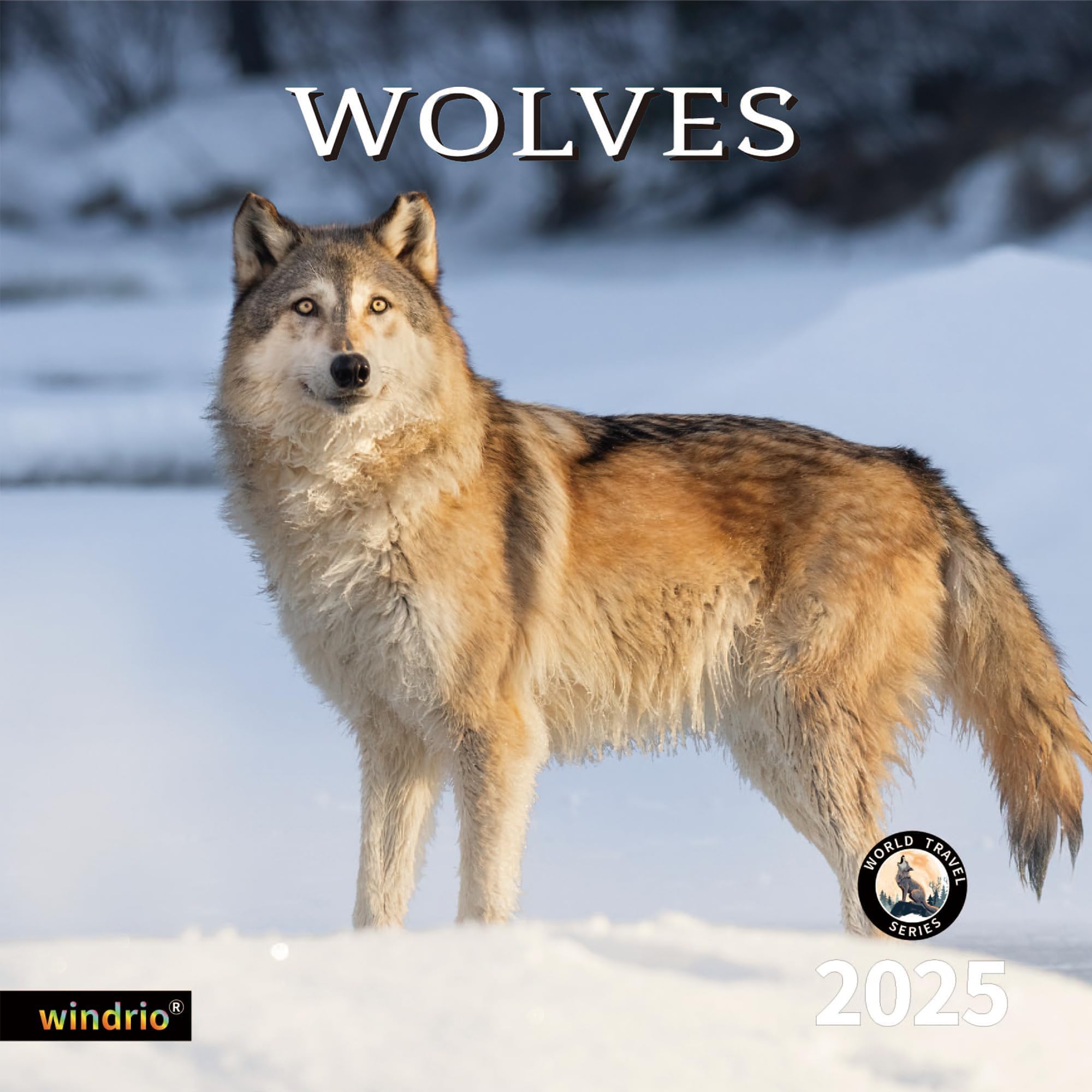 Amazon.com: 2025 Wall Calendar,Calendar 2025, January 2025 - December ...