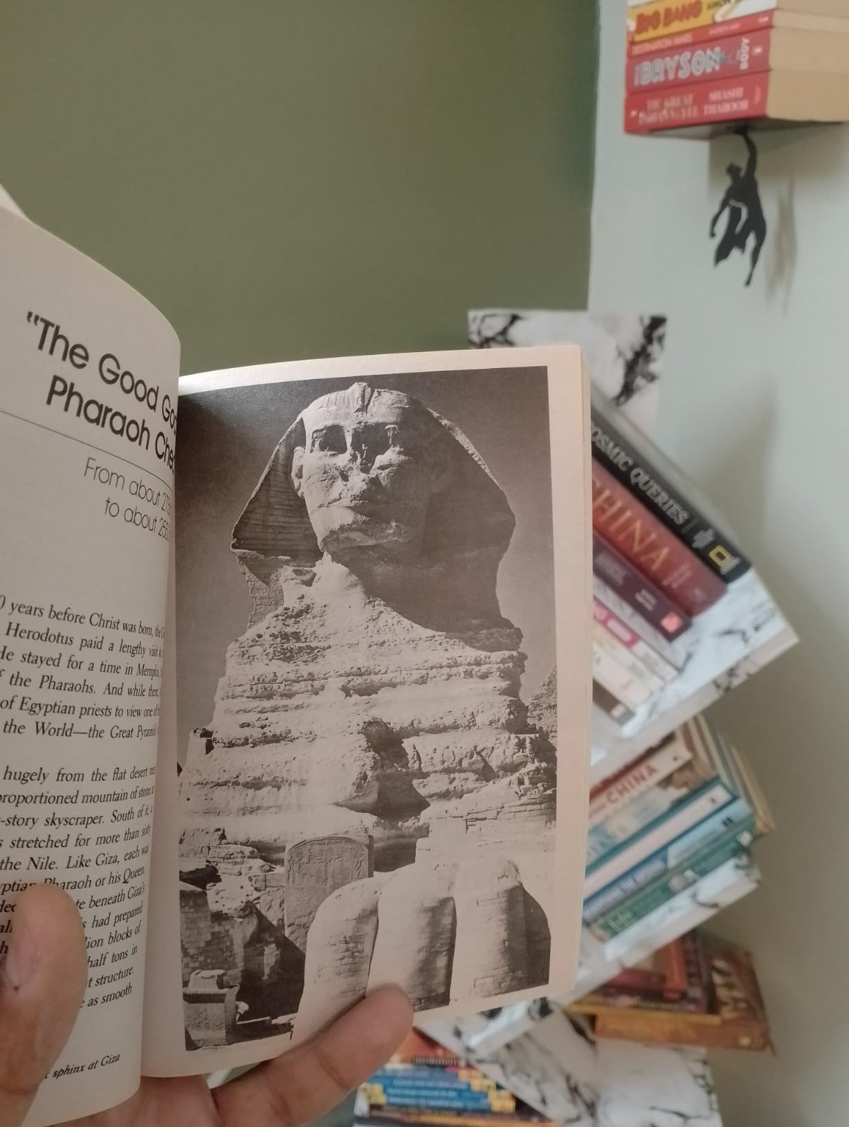 The Pharaohs of Ancient Egypt : Payne, Elizabeth: Amazon.in: Books