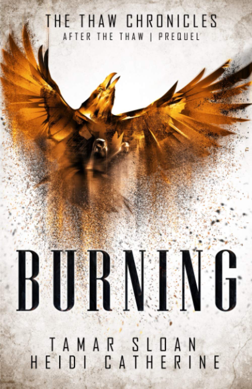 Publication: Burning