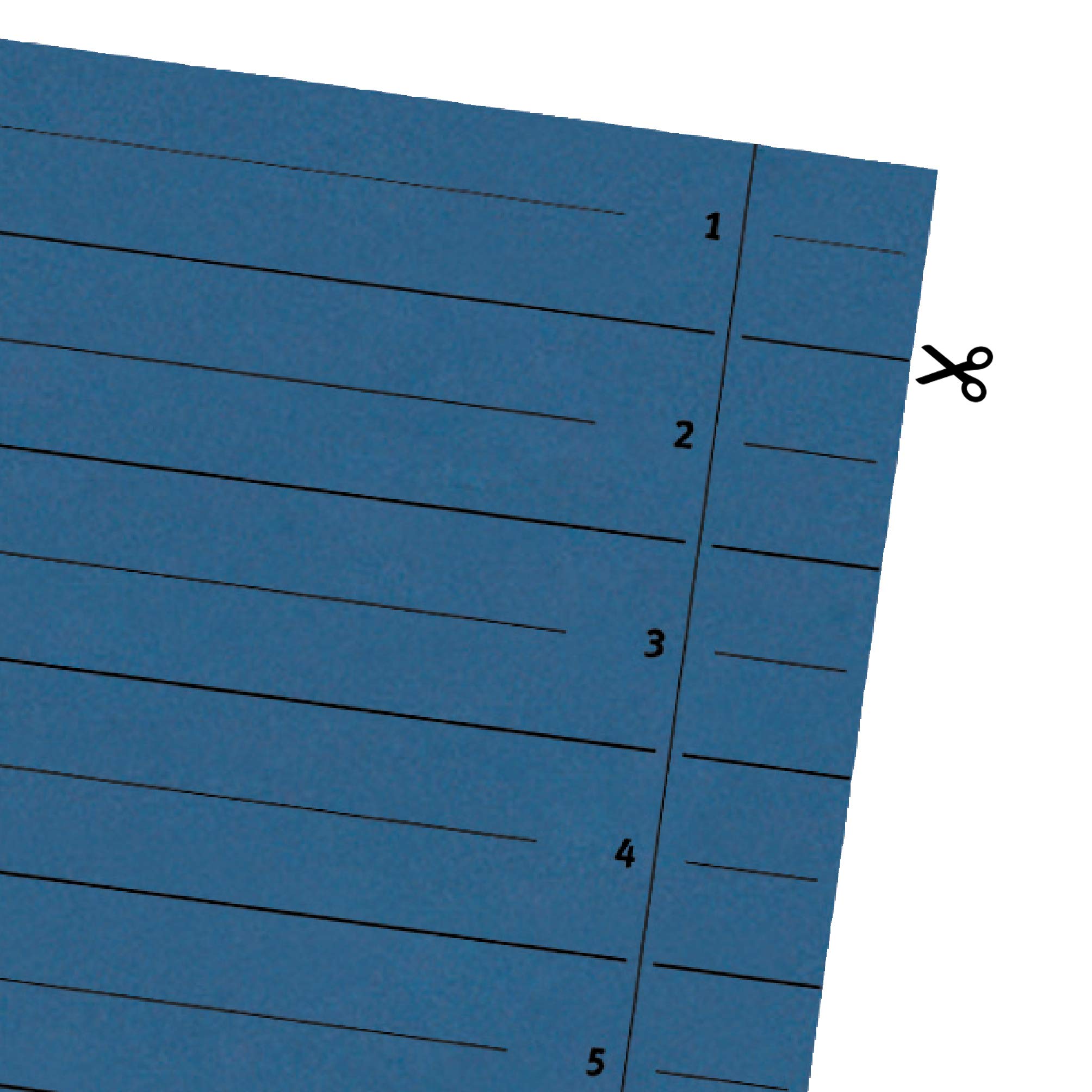 Snapklik.com : Original Falken 100 Pack Of Dividers Made In Germany ...