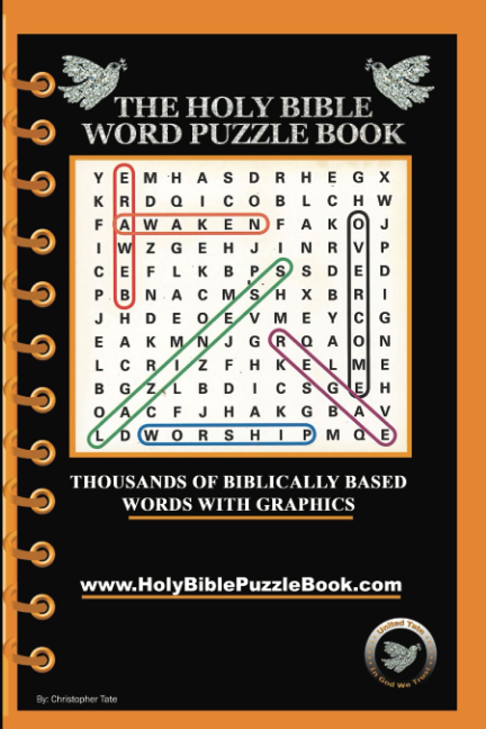 The Holy Bible word Puzzle Book: Holy Bible Puzzle Book: Tate, MR ...