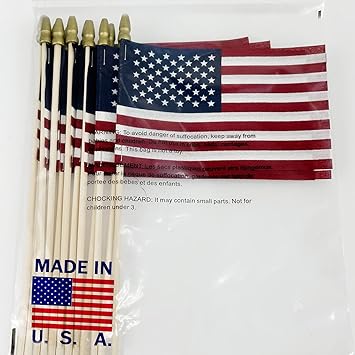 Amazon.com : GIFTEXPRESS Pack of 24, Made in USA 12x18 Inch US Stick ...