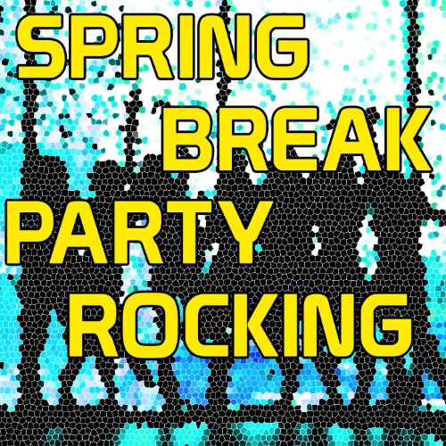 Amazon.com: Spring Break Party Rocking : The Hit Nation: Digital Music