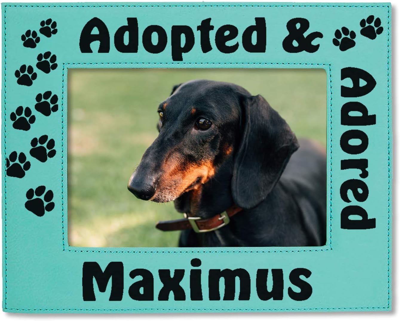 Amazon.com - Picture Frames for Dogs and Cats Adopted and Adored Pet ...