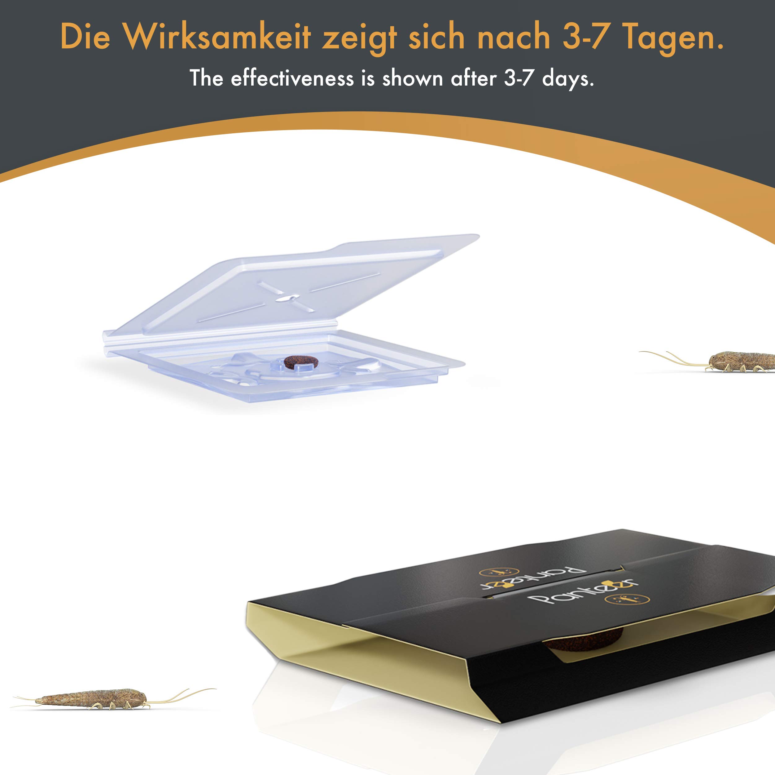 Are There Traps For Silverfish at Olga Johnsen blog