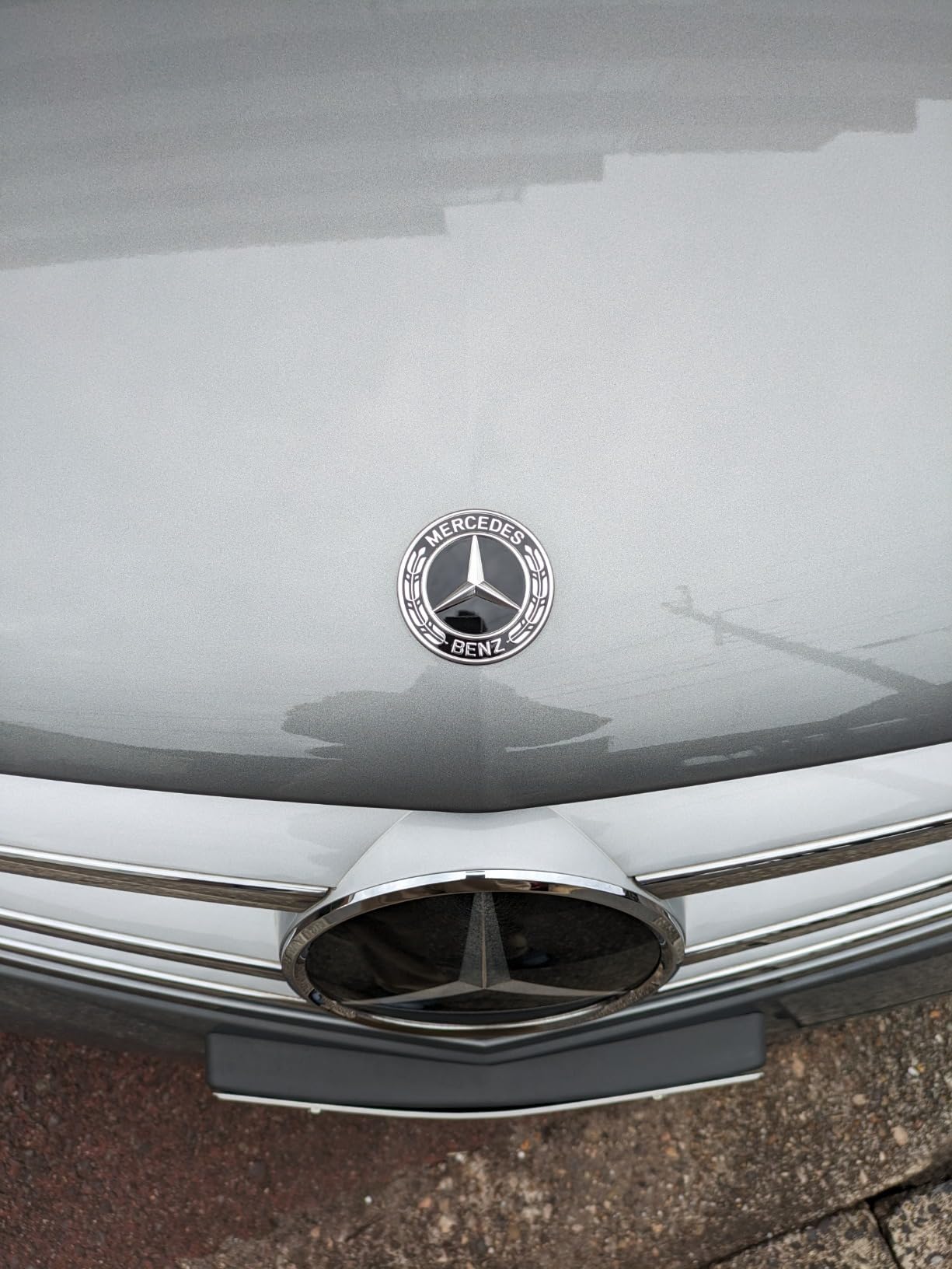 Amazon | 【Mercedes-Benz純正】 メルセデス・ベンツ ローレルリース ボンネット エンブレム ブラック ...