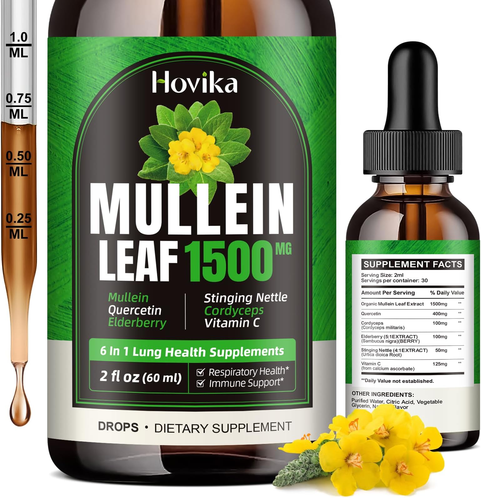 Amazon.com: LPETWALK Mullein Leaf Extract - Organic Mullein Leaf Liquid ...