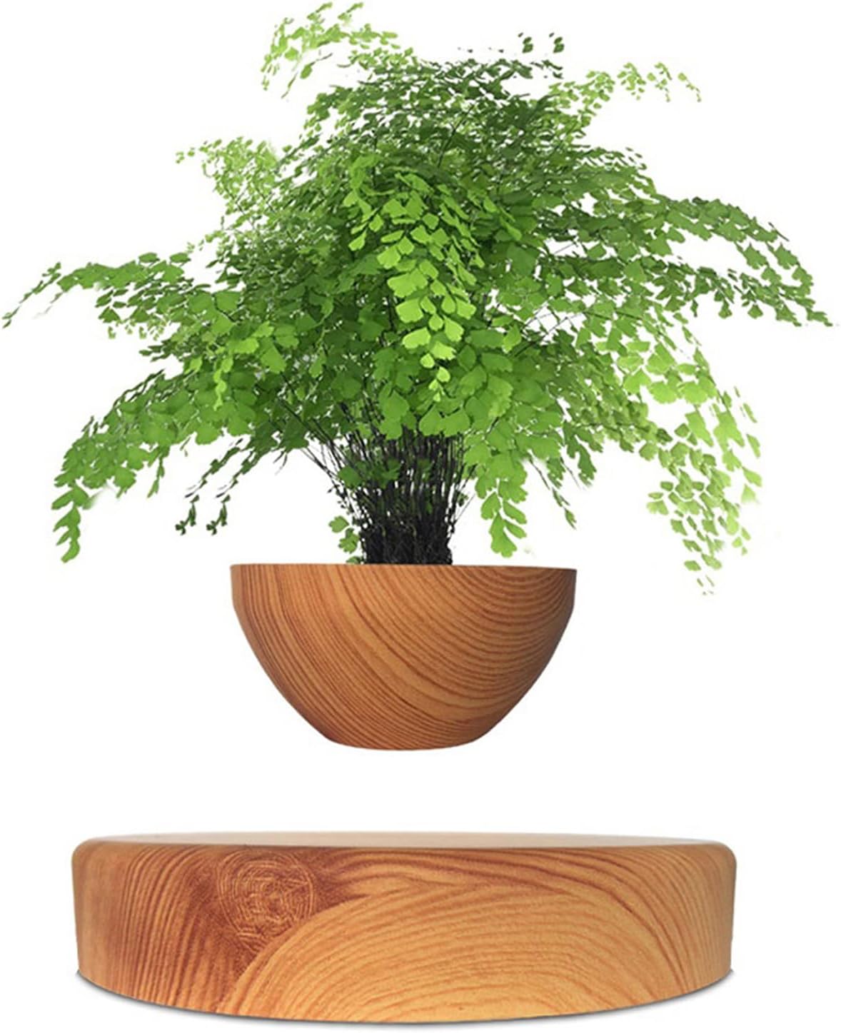 Amazon.com : INLETTER Floating Magnetic Levitating Flower Pot Bonsai ...