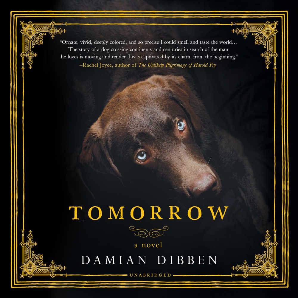 Tomorrow: Damian Dibben: 9781538510339: Amazon.com: Books