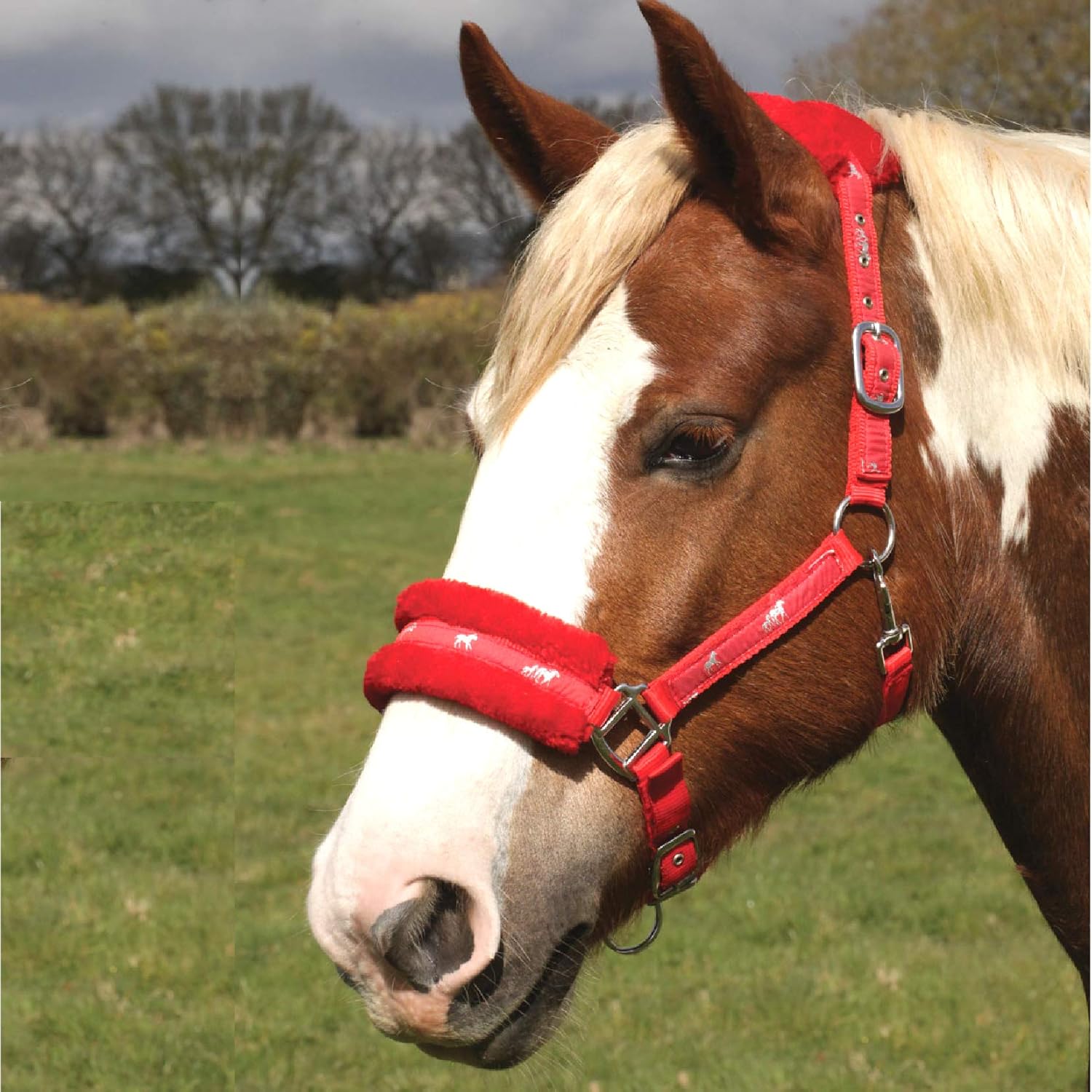 Rhinegold Horse Headcollar With Logo & Fur Trim - RED (Cob) : Amazon.co ...