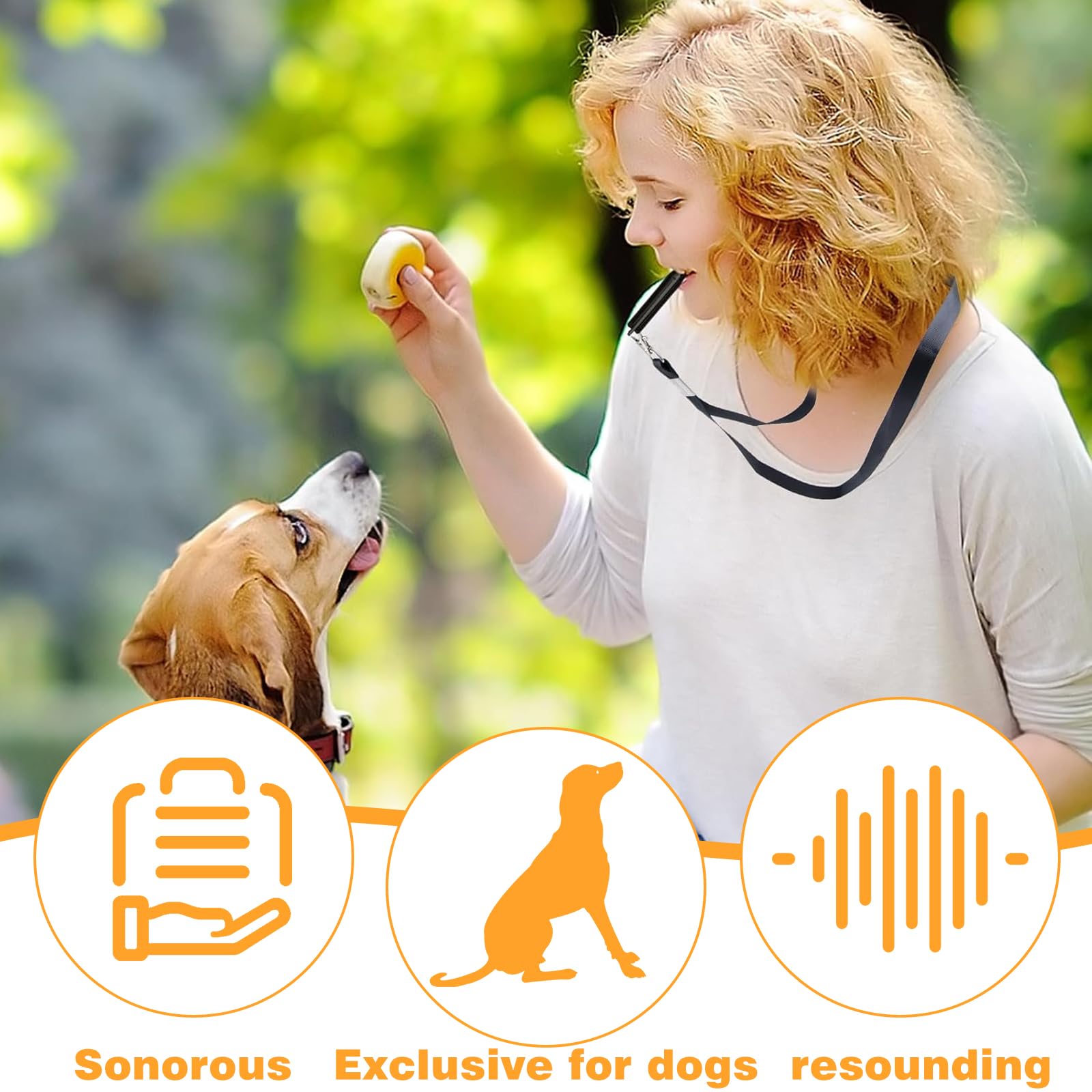 2 Pack Dog Whistle with Lanyard, High-Frequency Ultrasonic Dog Training ...