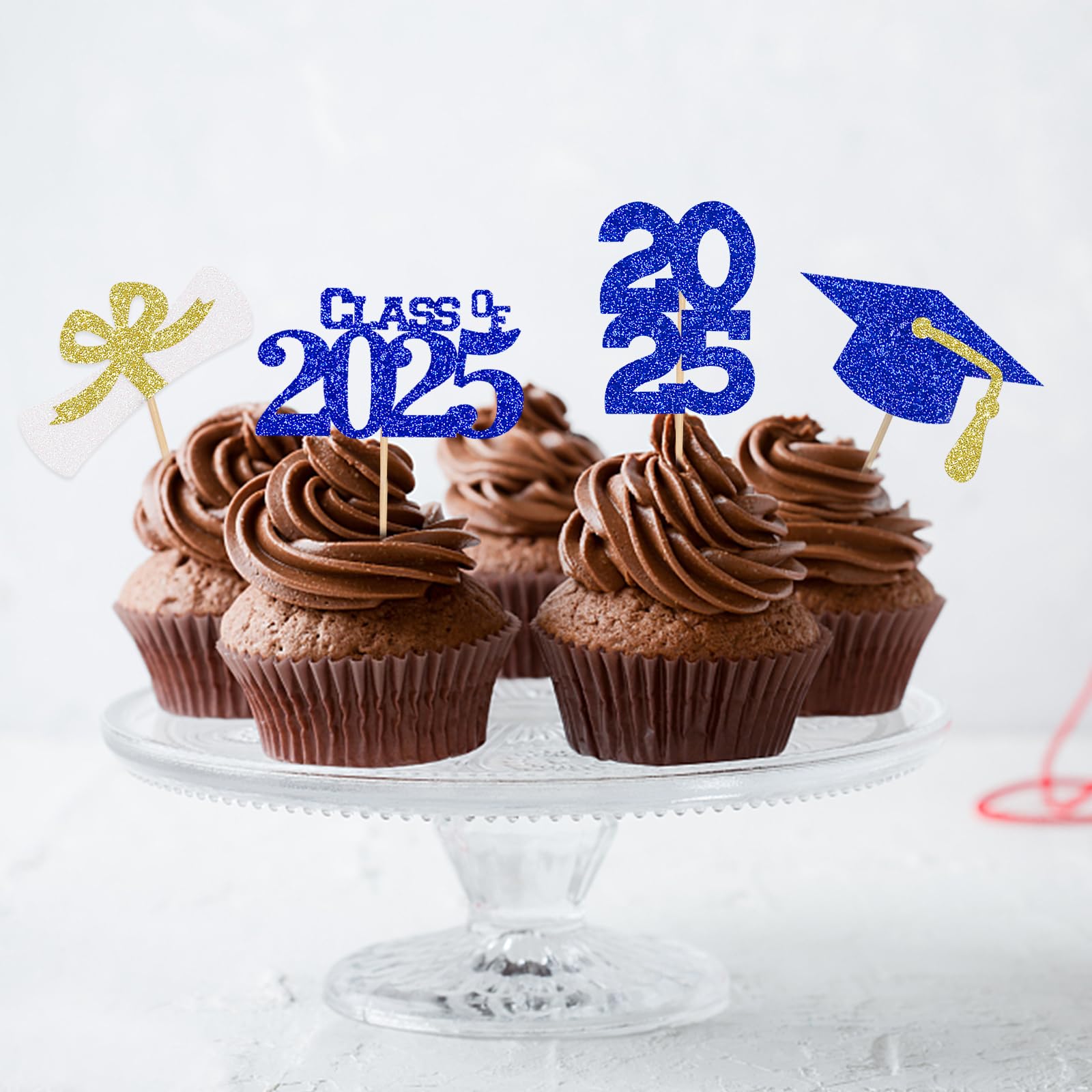 Graduation Cap Decoration 24 PCS 2025 Graduation Cupcake Toppers ...
