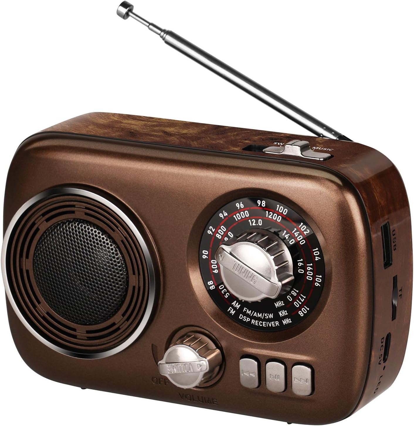 Amazon.com: Retro Portable AM FM Vintage Radio Shortwave Radio with ...