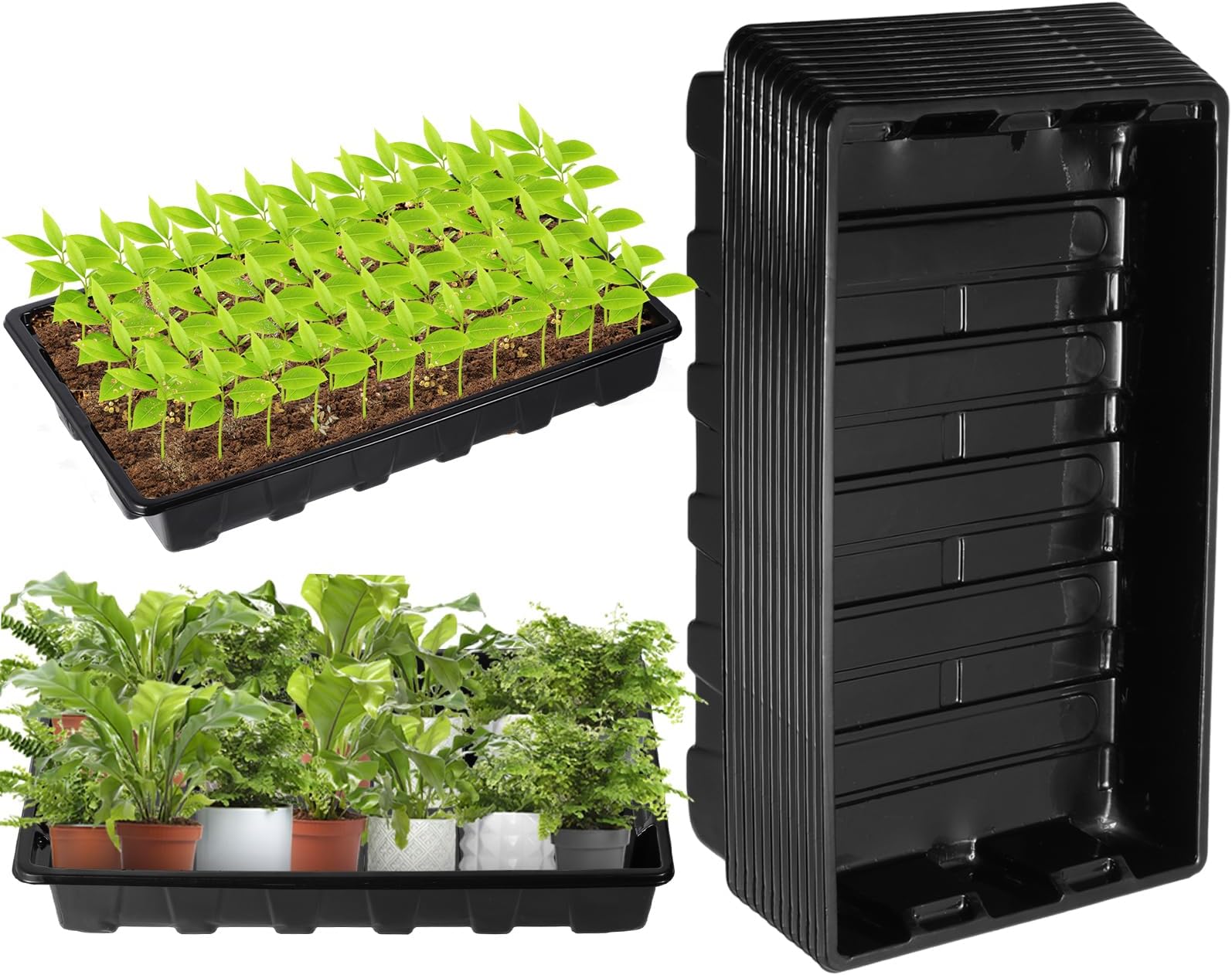 Amazon.com : Wild Green Fingers 10 Seed Starting Plant Growing Trays ...