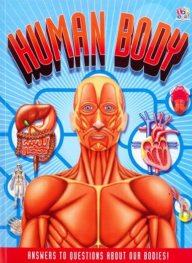 The Human Body - Answers To Questions About Our Bodies! : Amazon.in: Books