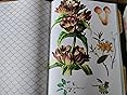 The Cut Out And Collage Book Vintage Botanical Plants: 150 High Quality ...