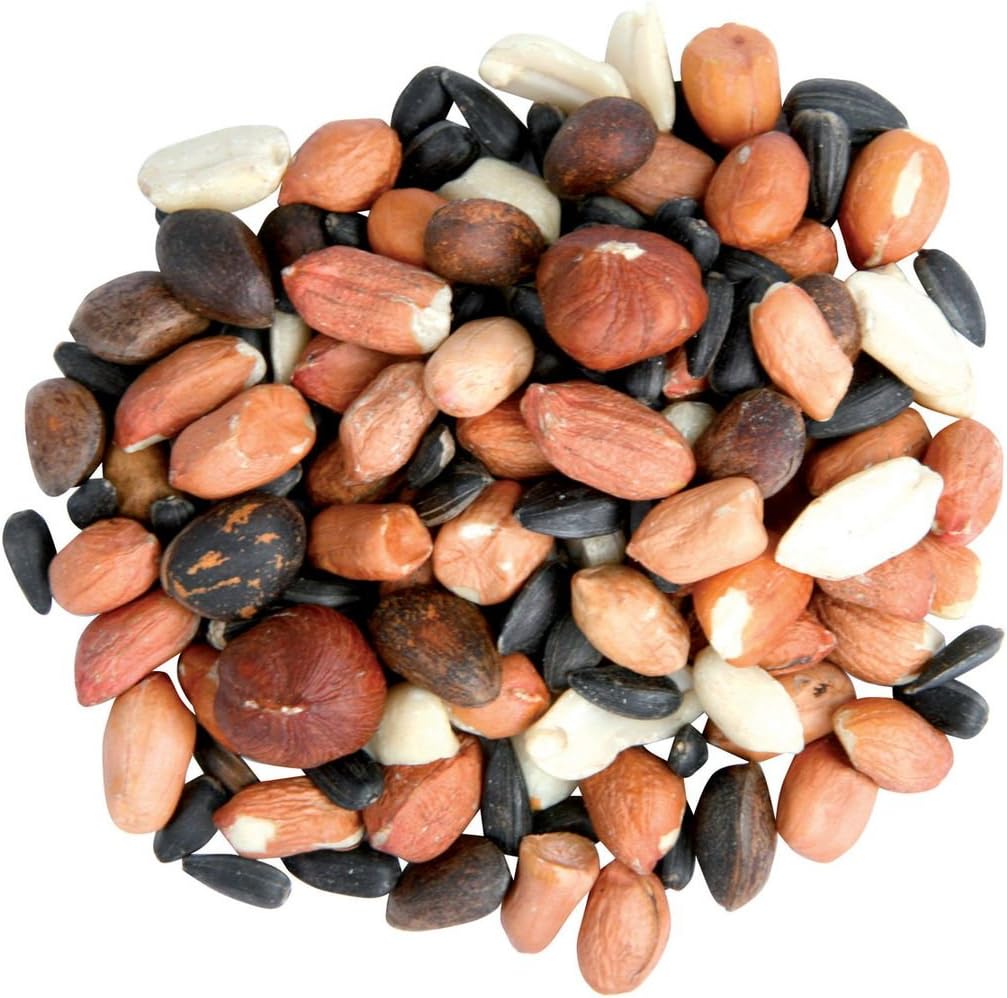 Wildlife Food CJ Squirrel Food Mix 1.5 Ltr : Amazon.co.uk: Garden