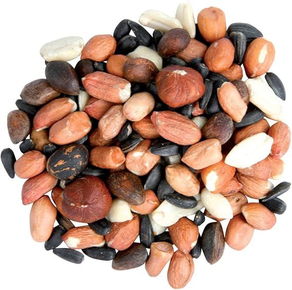 Wildlife Food CJ Squirrel Food Mix 1.5 Ltr : Amazon.co.uk: Garden