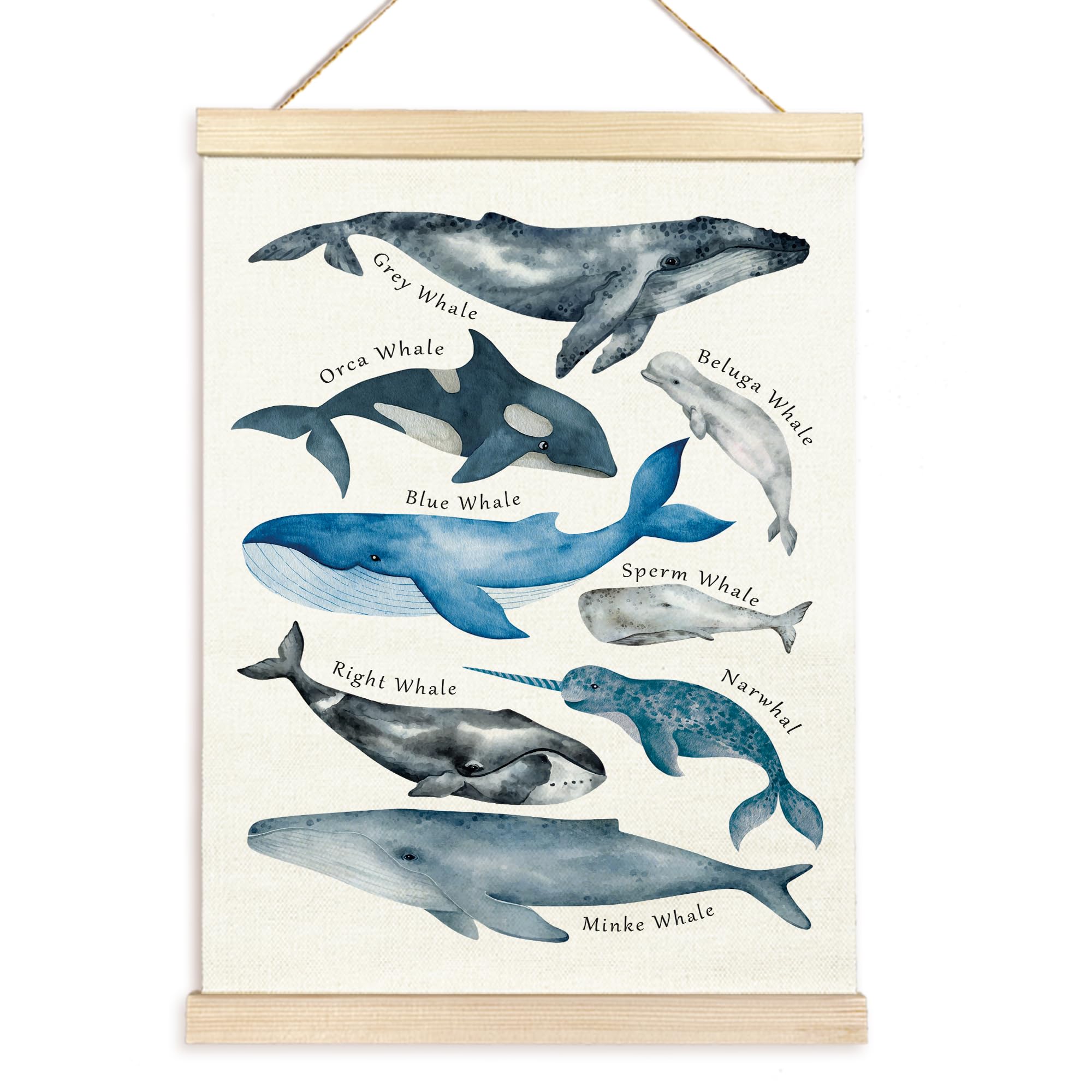 Amazon.com: TAEDIN Whales Ocean Animal Chart Poster Hanger Frame ...