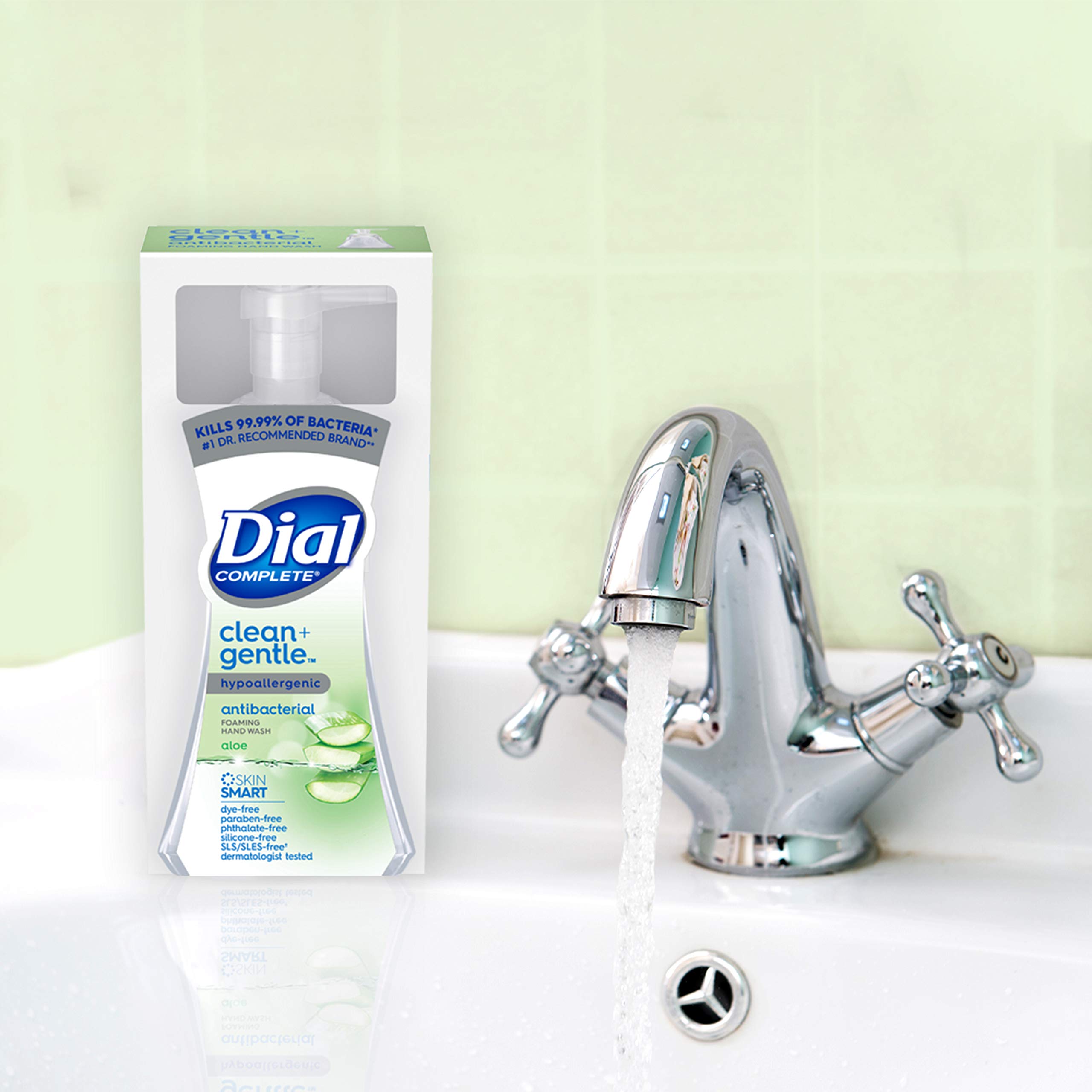 Snapklik.com : Dial Complete Clean + Gentle Antibacterial Foaming Hand Wash