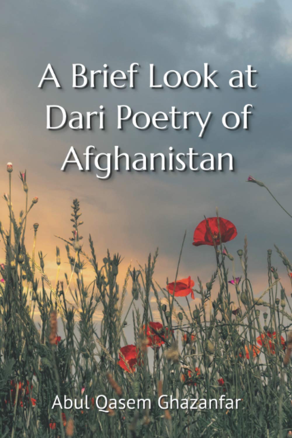 Afghan Dari Quotes