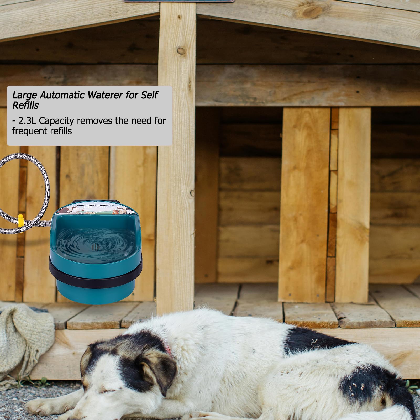 Large Breed Automatic Waterer Automatic Pet Water Bowl With Float Valve - Self-Filling Waterer ...