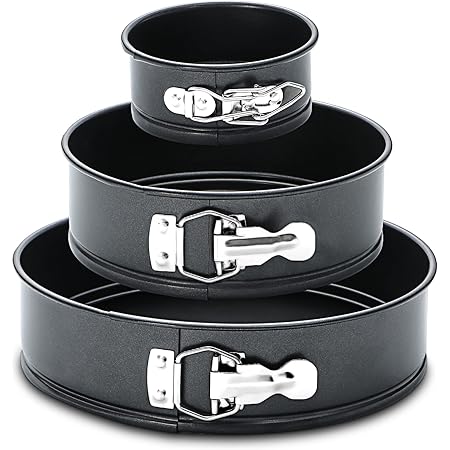 Amazon.com: E-Gtong 9 Inch Springform Cake Pan, Stainless Steel ...