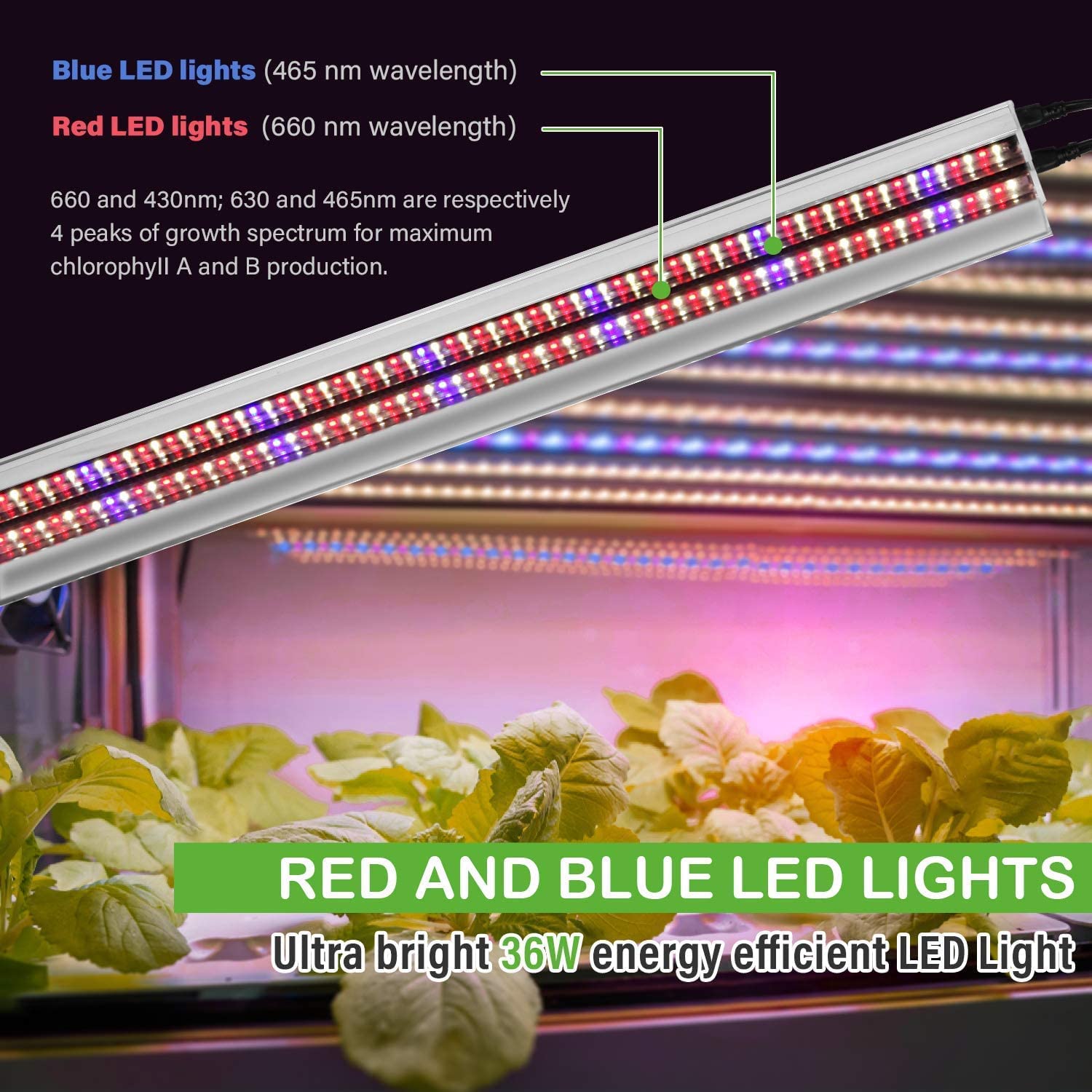 Snapklik.com : iPower 4-Feet LED Grow Light System