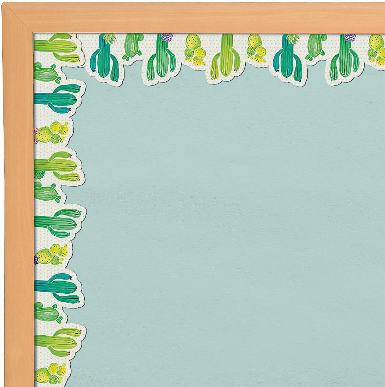 Amazon.com: Vibrant Multicolor Cactus Bulletin Board Borders - 36" x 2. ...