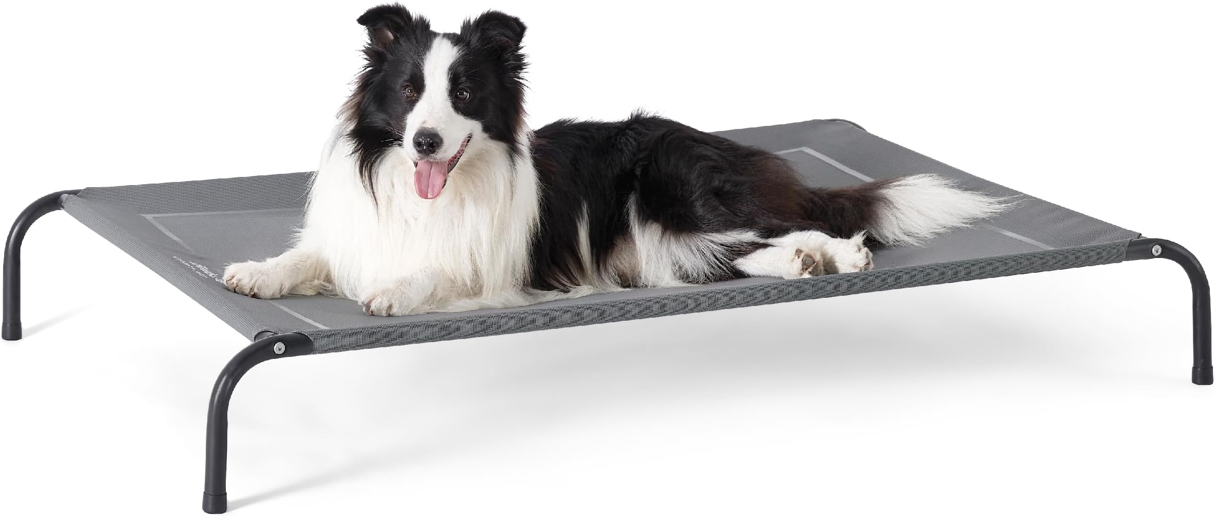 Amazon.com : K&H Pet Products Comfy Pet Cot Elevated Pet Bed Cot ...