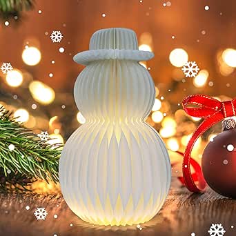 Amazon.com: ZEYGC Christmas Decorations Light Up Paper Snowman ...