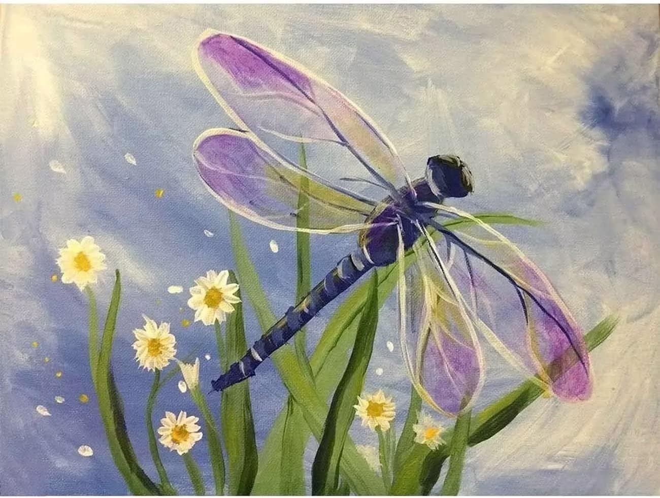 Amazon.com: Diamond Painting Dragonfly Kit, Adult Diamond Art, 5D Gem ...