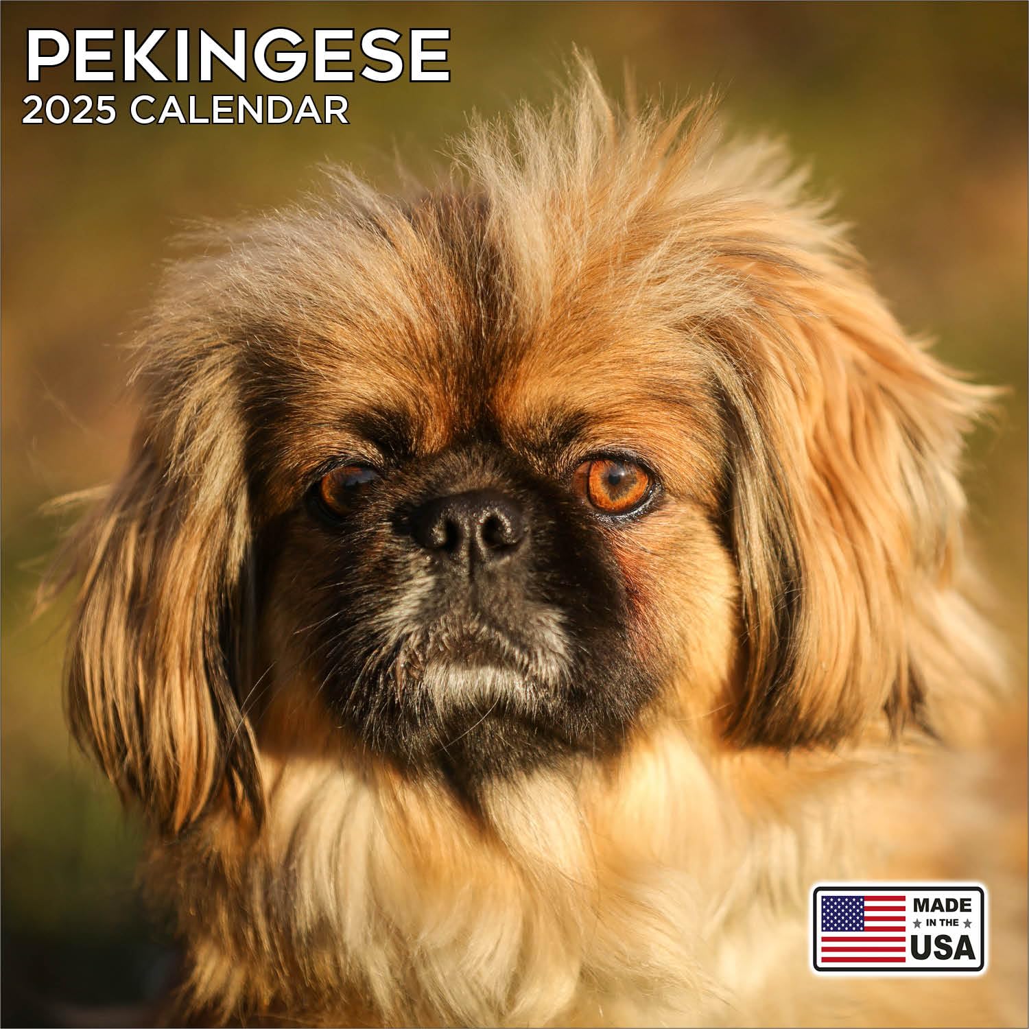 Snapklik.com : 2025 Pekingese Calendar - Dog Breed Wall Calendar - 12 X ...