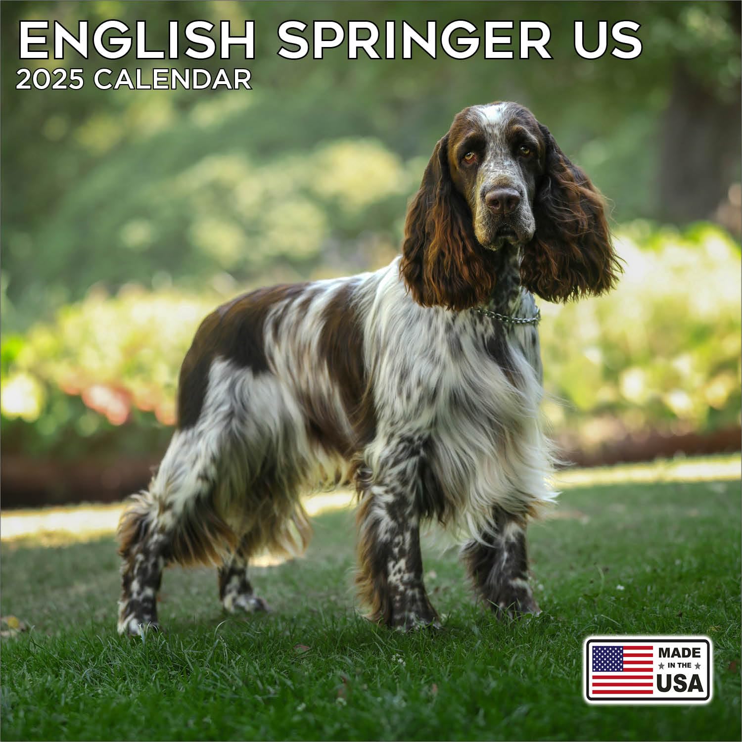 2025 English Springer Spaniel US Calendar - Dog Breed Wall Calendar ...