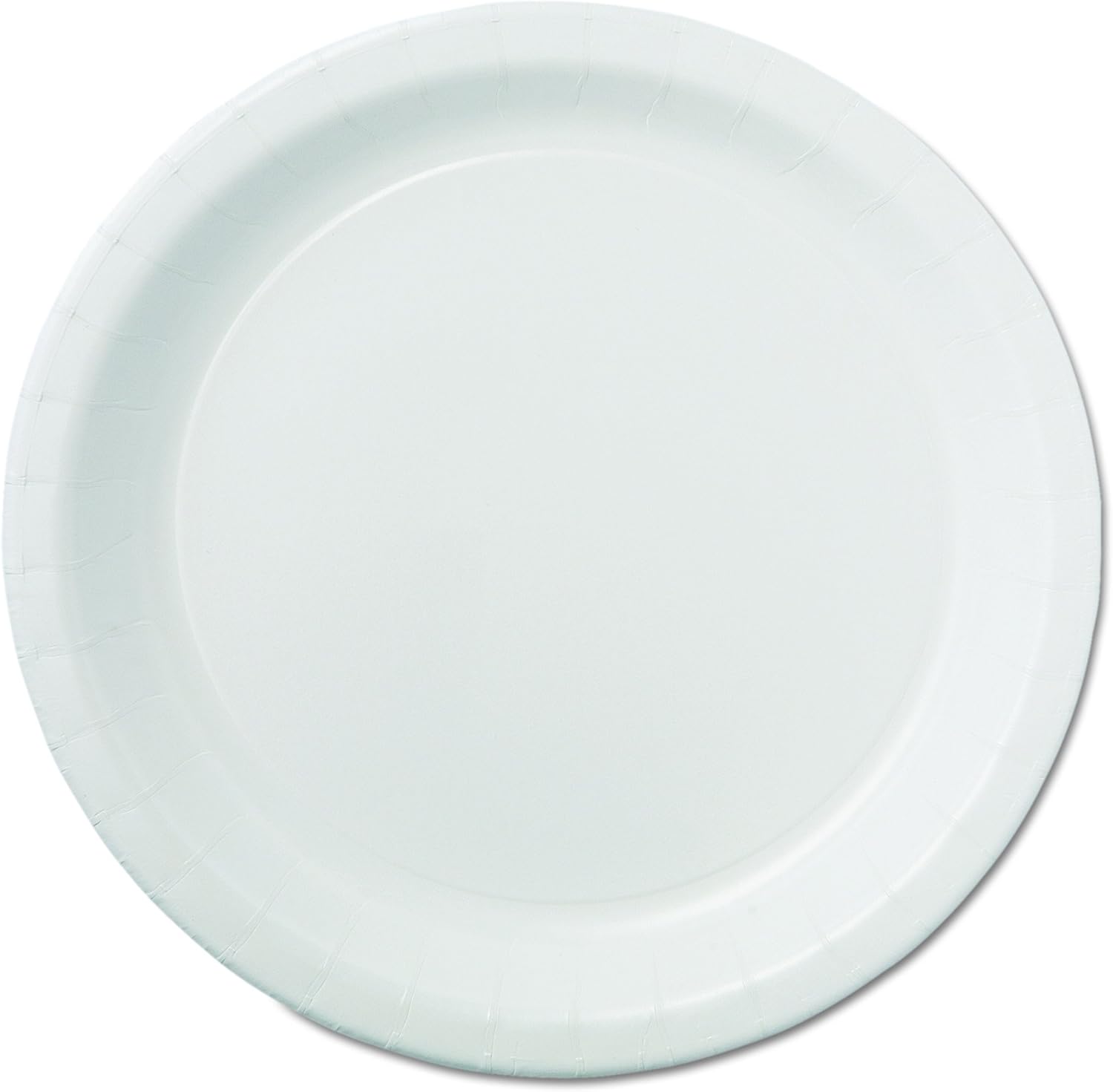 Amazon.com : Hoffmaster PL7095 9" White Deep Ridge Paper Plate (10 ...