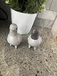 Amazon.com: Genuine Fred CLAY PIGEONS, Ceramic Pigeon Salt and Pepper ...