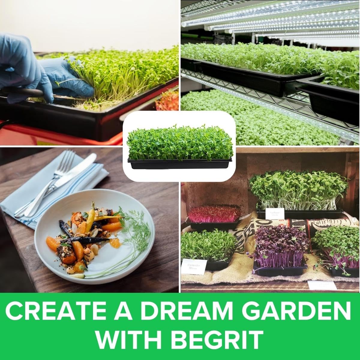 Snapklik.com : Microgreen Seed Starter Grow Trays Shallow Seeding ...