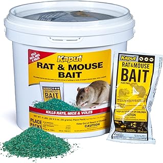 Natural Rat Killer: Vinegar And Baking Soda Ratios | CySoda